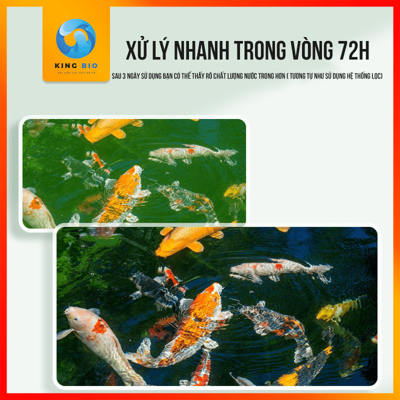 Bột Diệt Rêu Tảo Yee Thế Hệ Mới Cho Bể Cá - King Bio