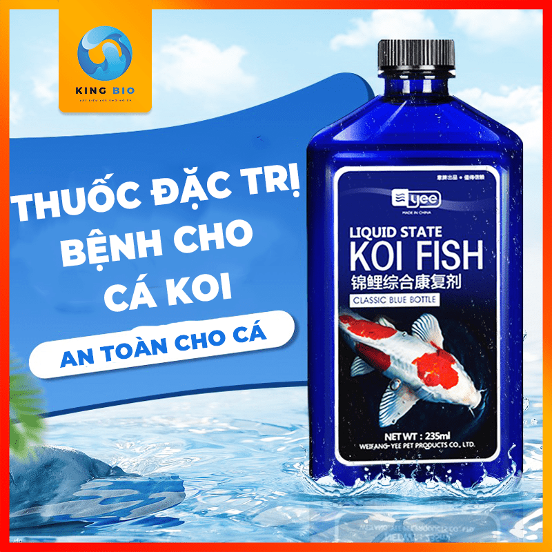Thuốc Yee Koi Fish Chuyên đặc Trị Bệnh Nấm - King Bio