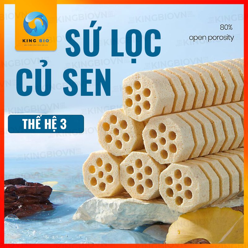 Sứ Lọc Củ Sen Yee - Vật Liệu Lọc Cao Cấp Cho Hồ Cá
